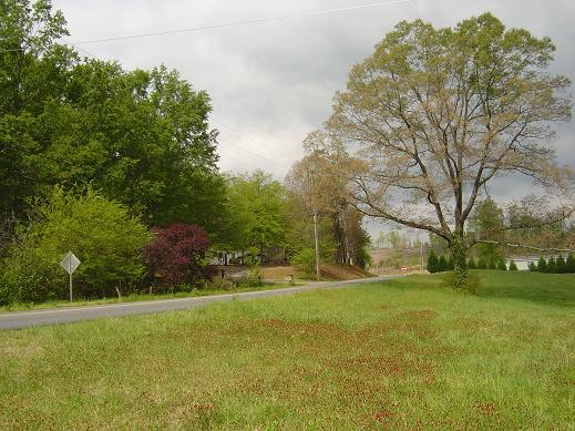 BFRO Report 16962: Possible early morning sighting along country road near Pickens