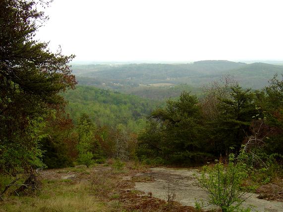 BFRO Report 16962: Possible early morning sighting along country road near Pickens